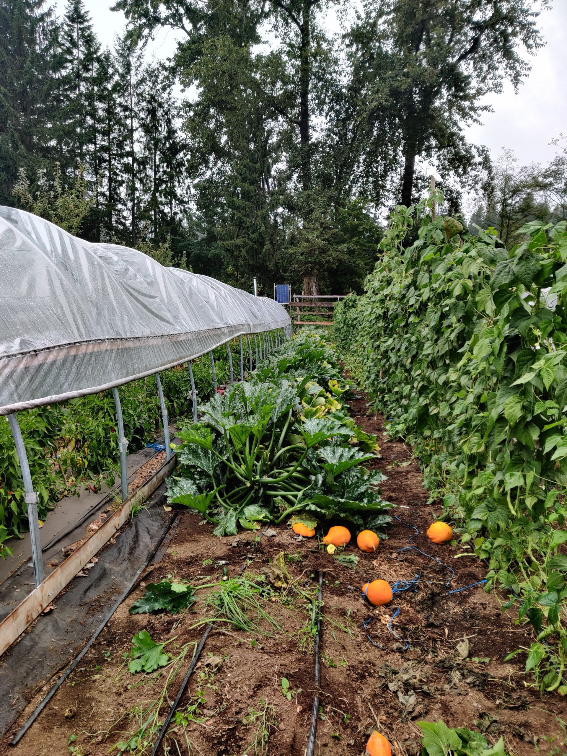 Farming Aptitude Test – High & Dry Farm