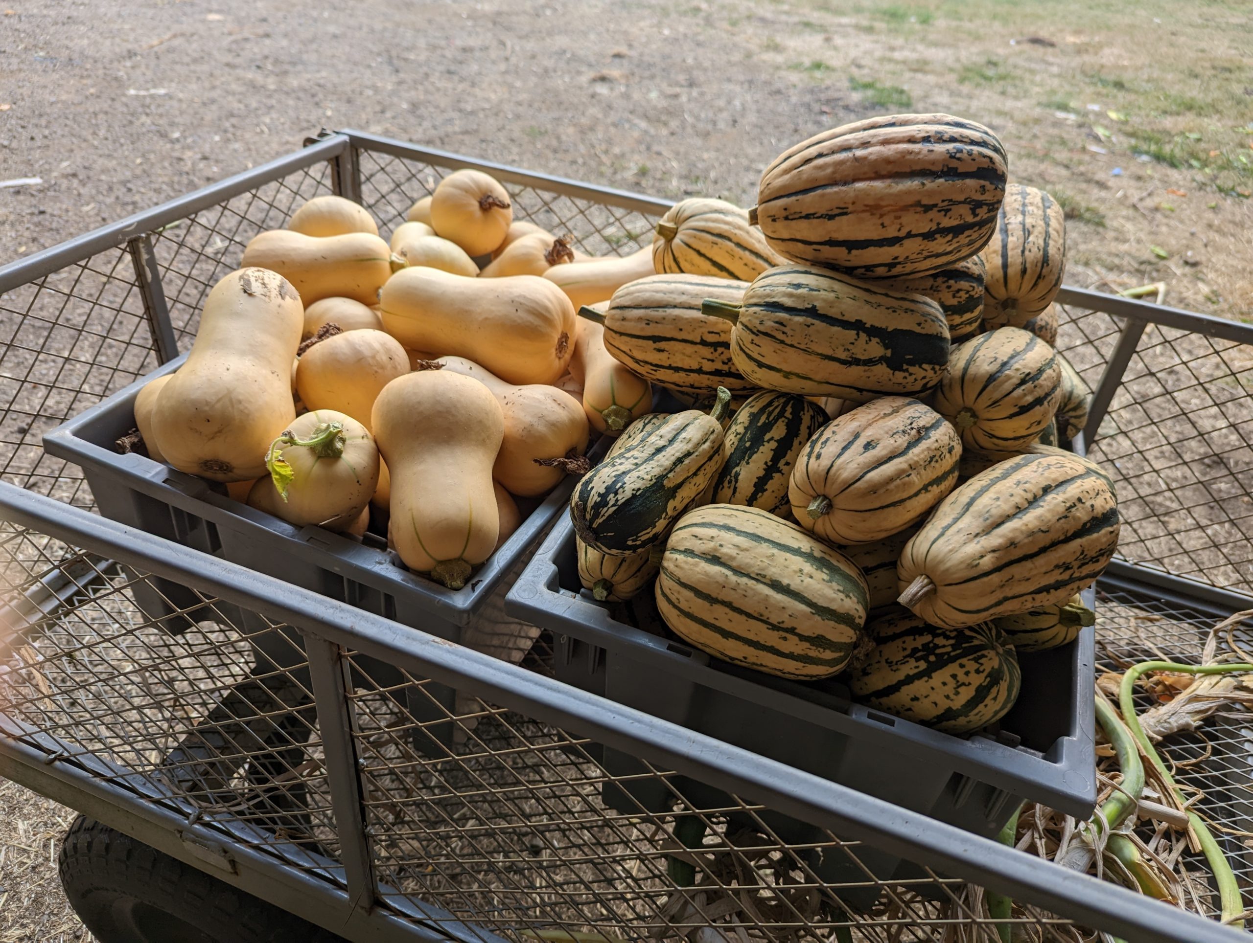 Dry Farming – High & Dry Farm